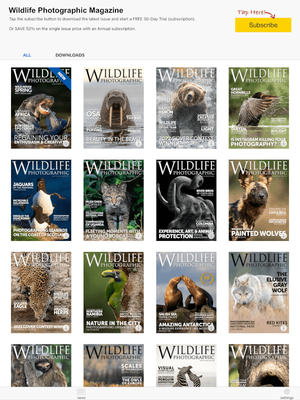 How Digital Magazine Publishing Works