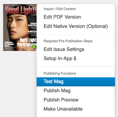 Digital Magazine Publisher Experience